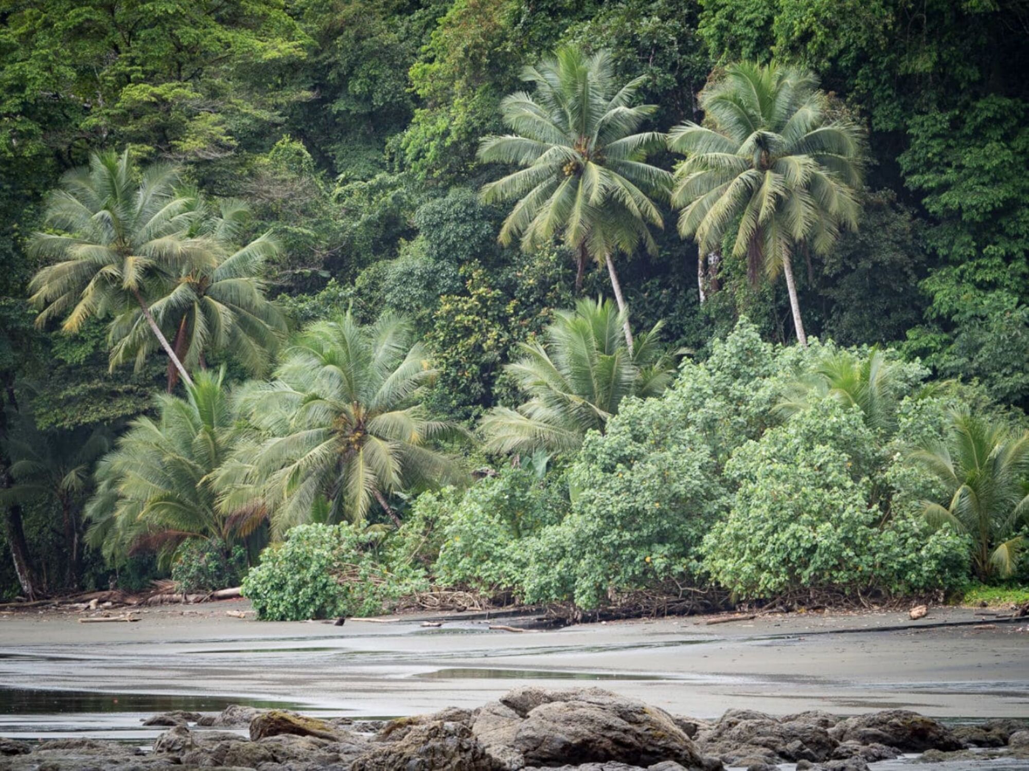 Descubre la costa del Pacífico del Chocó en Colombia