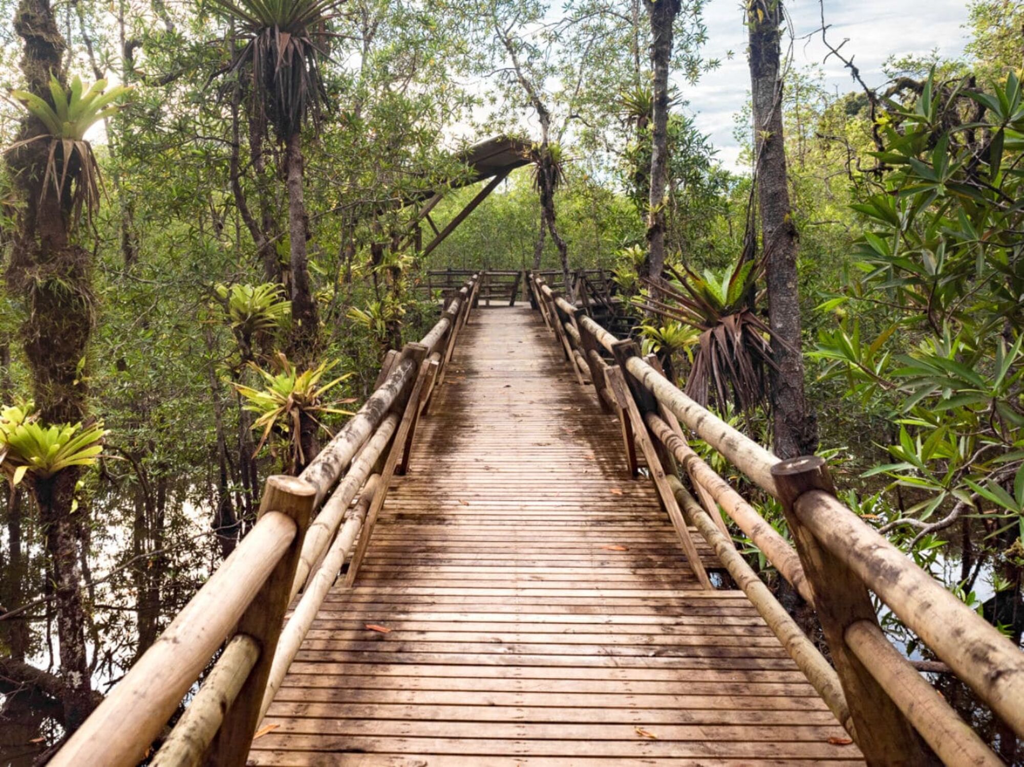 Descubre la costa del Pacífico del Chocó en Colombia