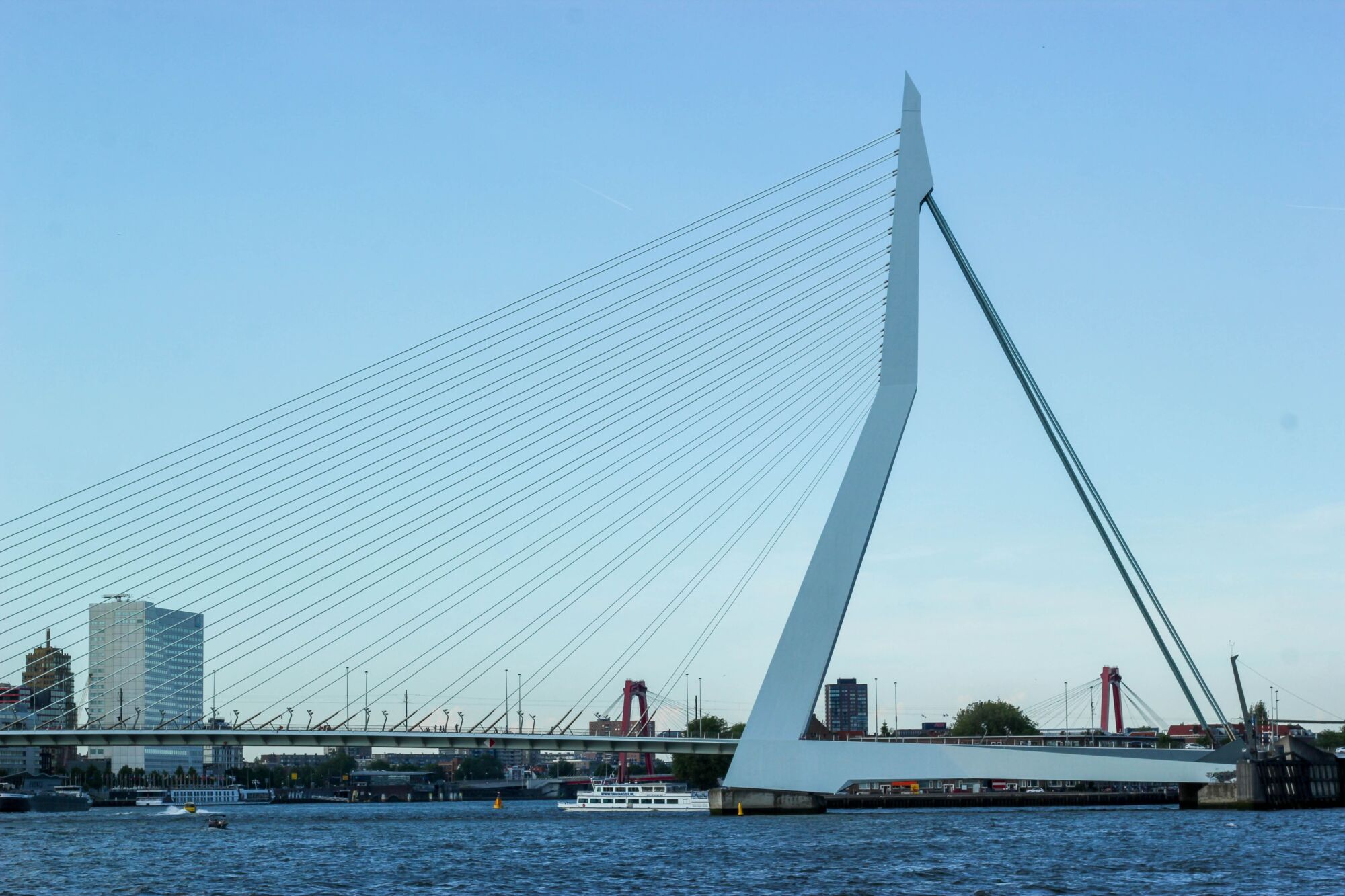 5 razones por las que visitar Rotterdam