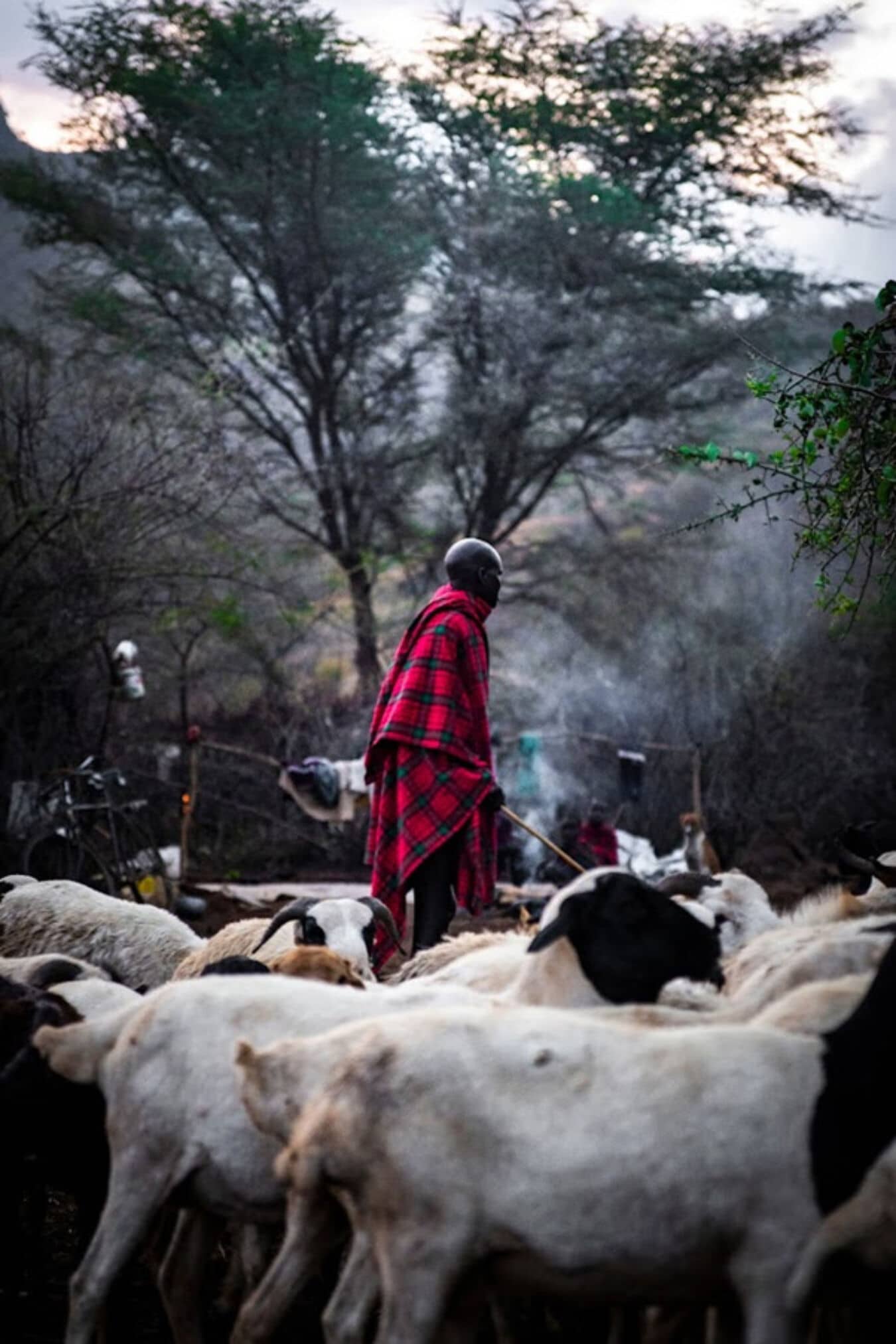 Todos los sitios que tienes que ver en tu viaje a Uganda