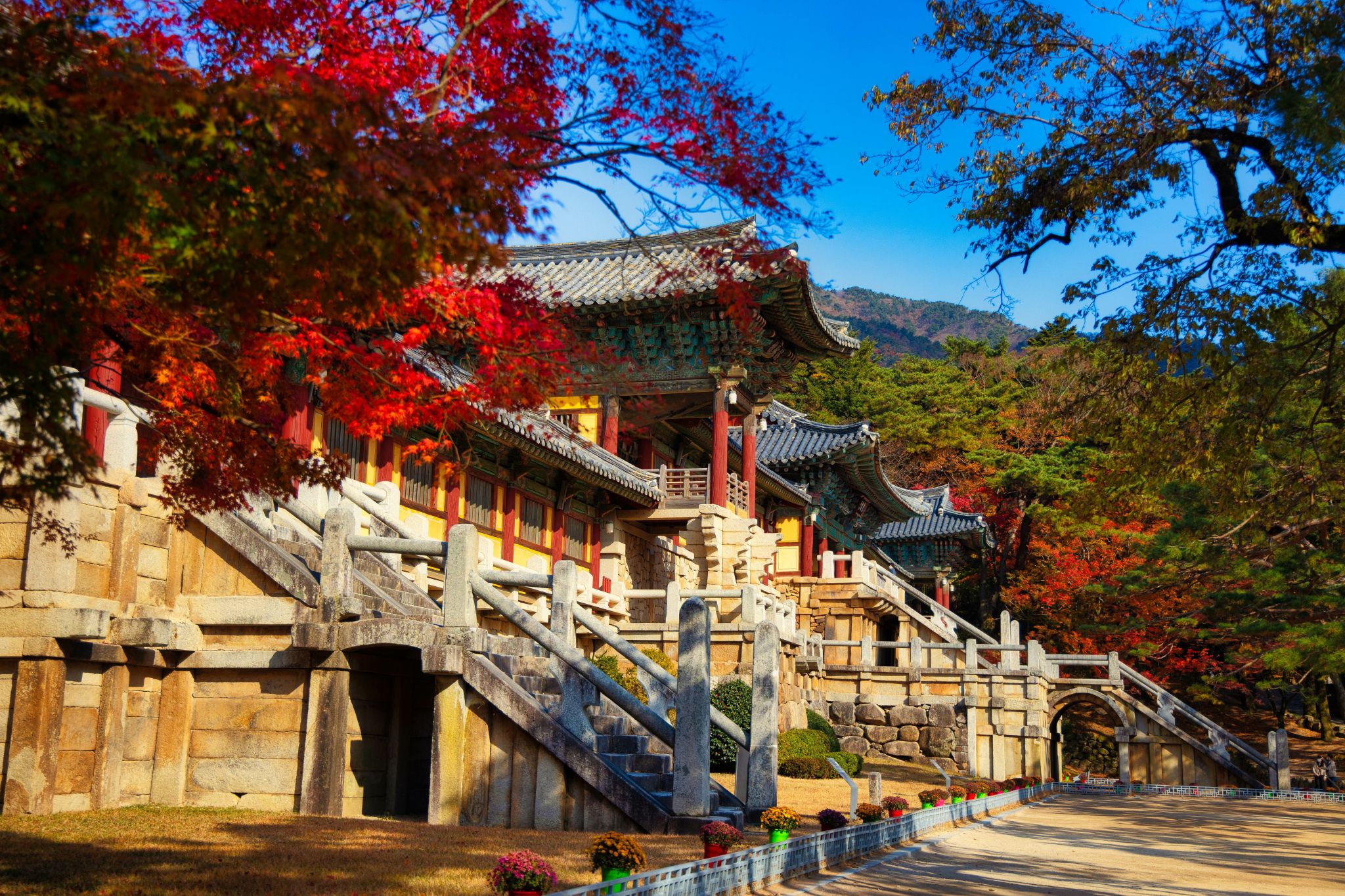 Sitios imprescindibles que ver en Corea del Sur