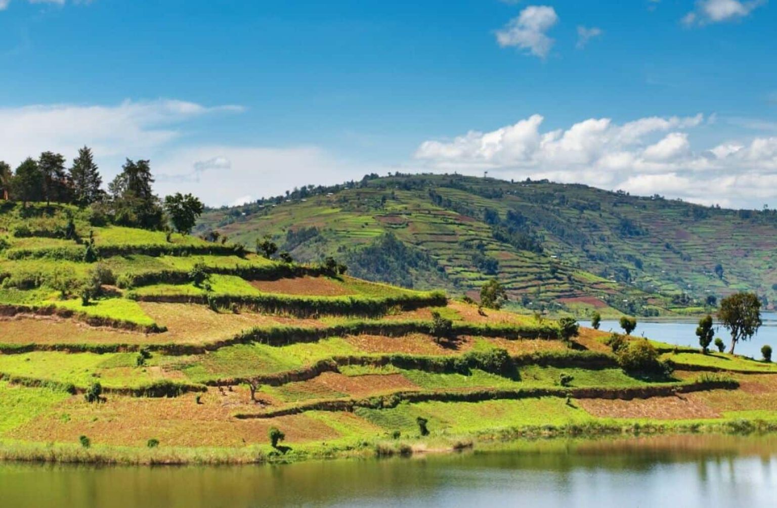 Qué hacer en Uganda