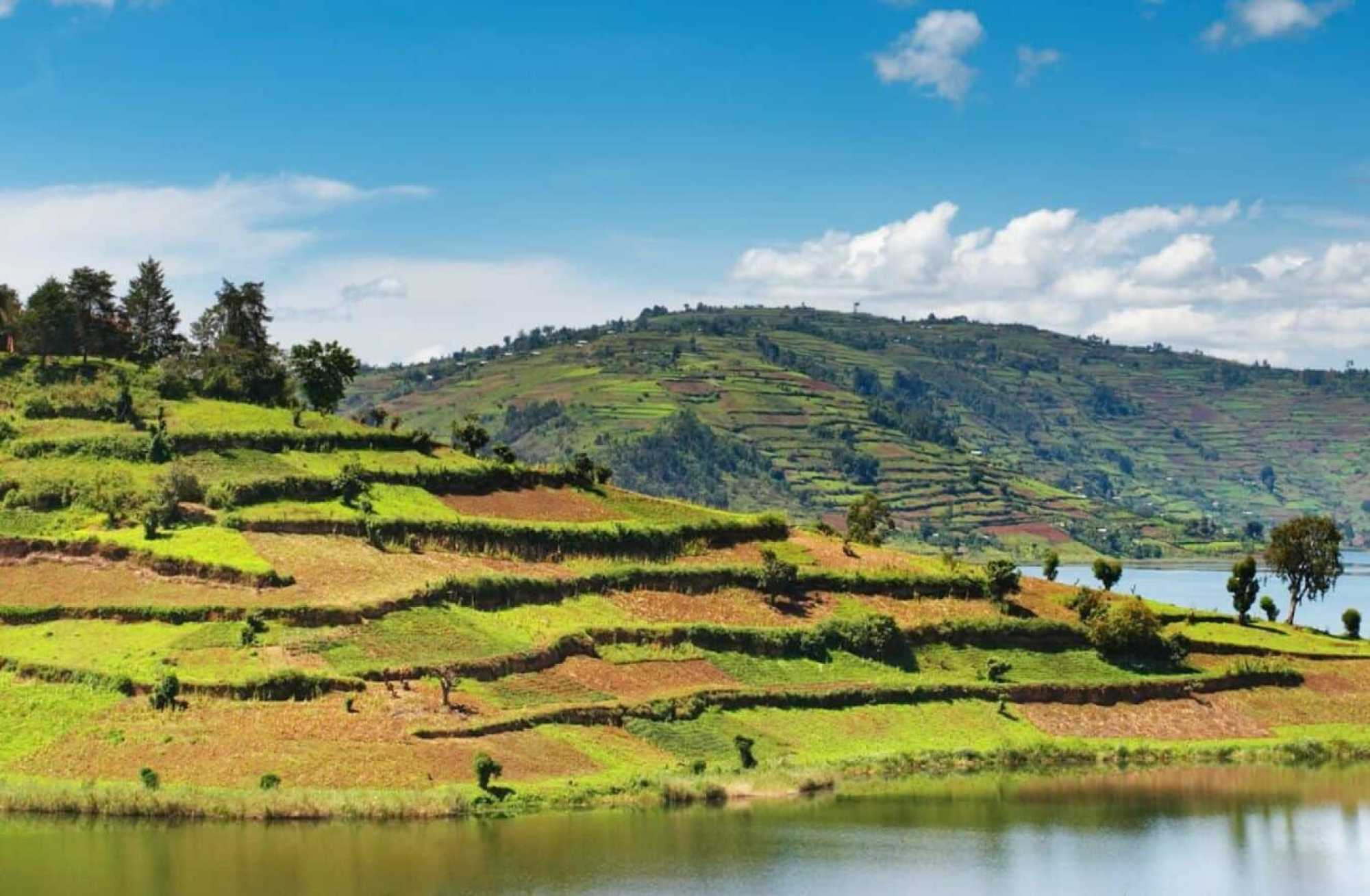 Qué hacer en Uganda