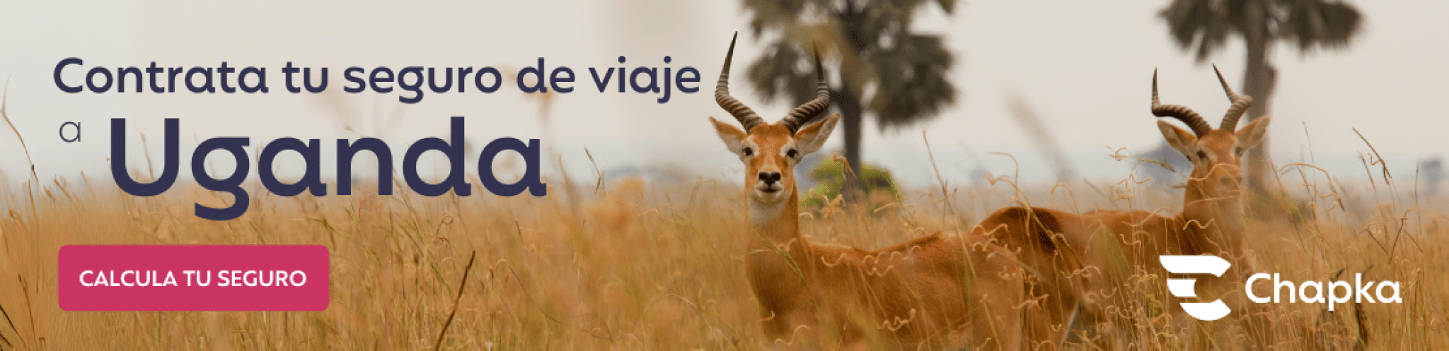 Qué hacer en Uganda